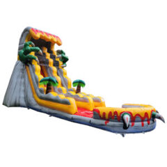 Bounce Houses Rental in Montgomery County, Ambler PA, Chesnut hill PA ...