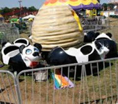 Moon Jumps | Water Slides | RGV Party Rentals | Mechanical Bull Rentals