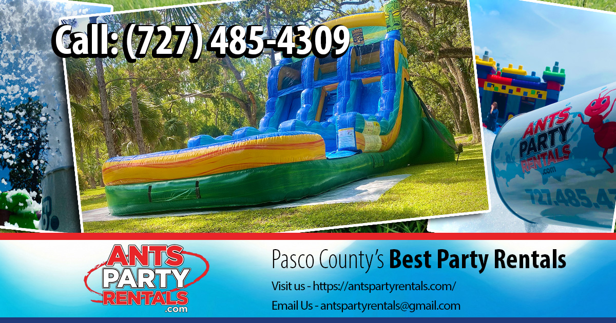 Bounce House & Party Rentals | AntsPartyRentals.com Hudson, FL