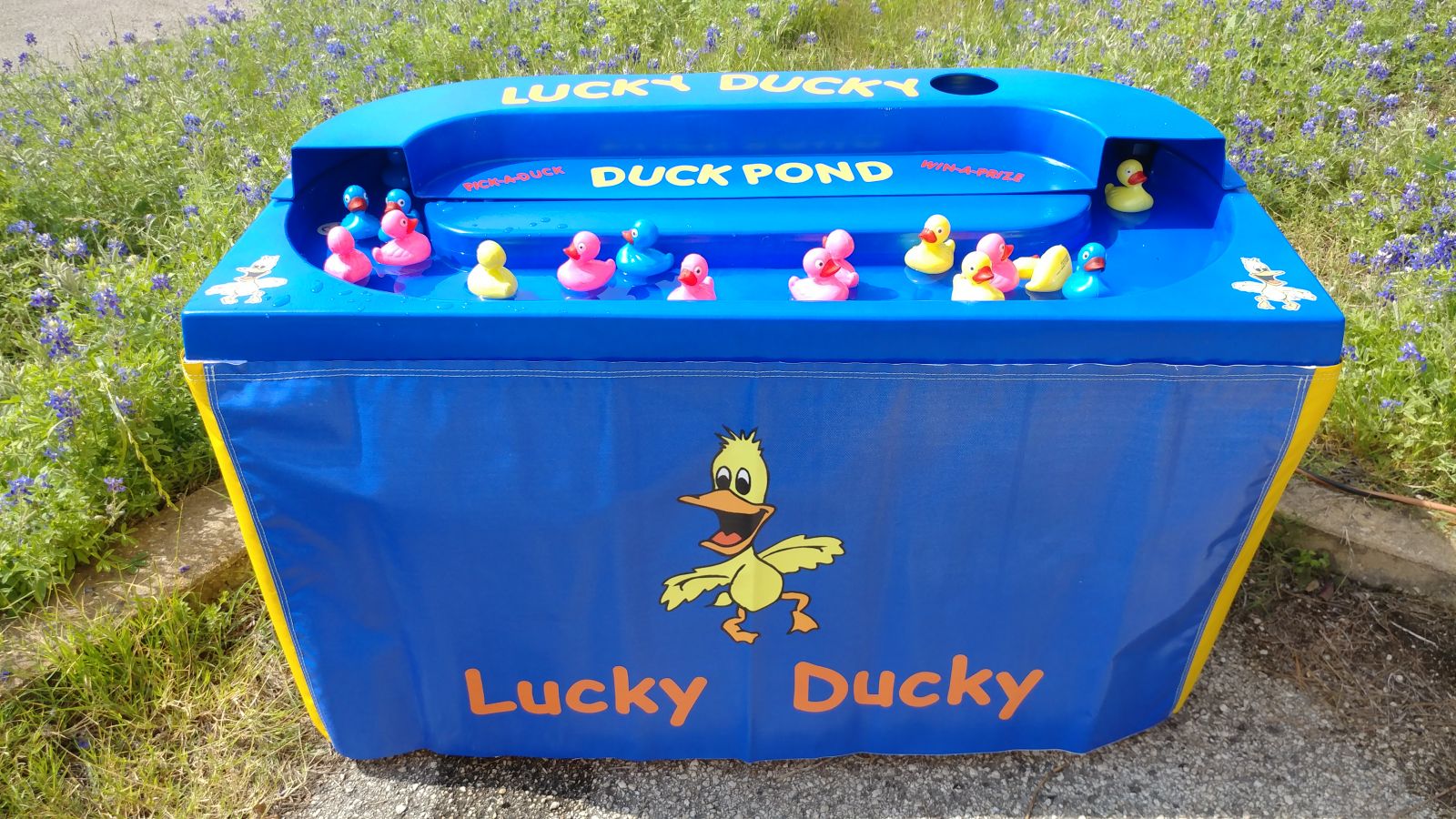 Duck Pond Carnival Game