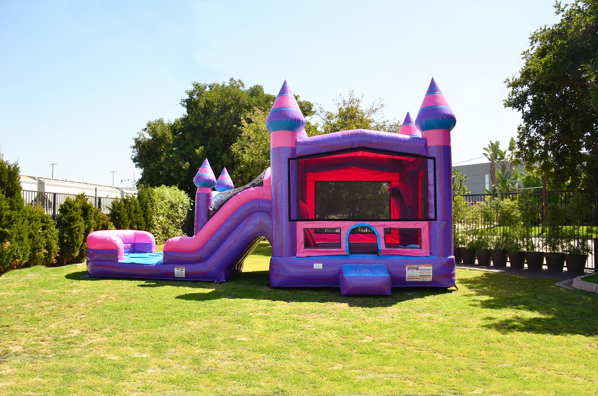 Purple Dual Lane Waterslide Bounce House Combination Rental | Best Jump ...
