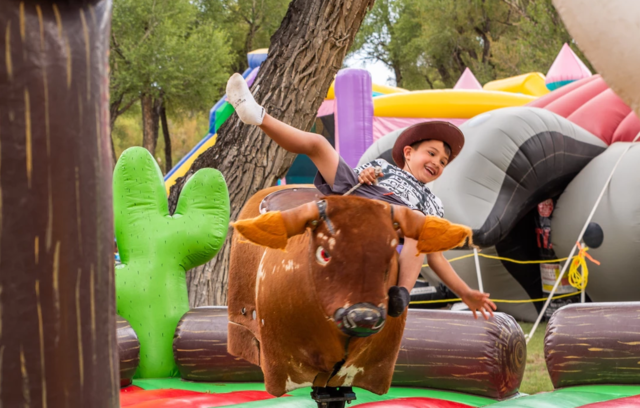 Bingham Party Rentals LLC - bounce house rentals and slides for parties ...