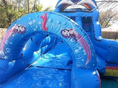 16ft Dolphin and Mermaid Water Slide Bounce House & Party Rentals ...