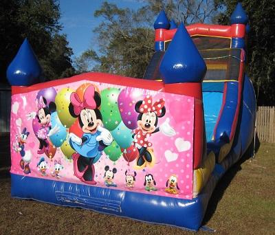 18ft Minnie Mouse Dry Slide Bounce House & Party Rentals ...