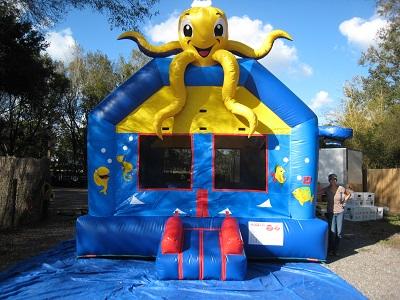 15ft x 15ft Happy Octopus Bounce House Tampa | Bounce A Lot Inflatables ...