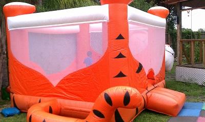 15ft x 15ft Tigger Tiger Belly Bounce House Tampa | Bounce A Lot ...