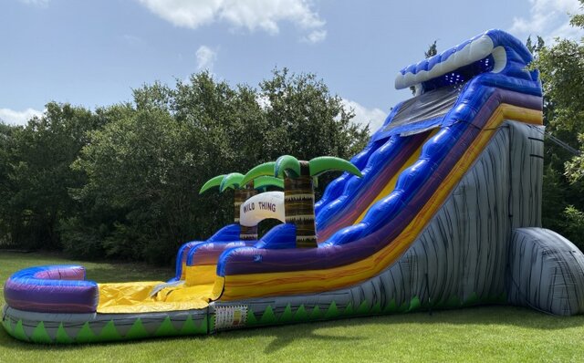 Wild Things Pool Make Out