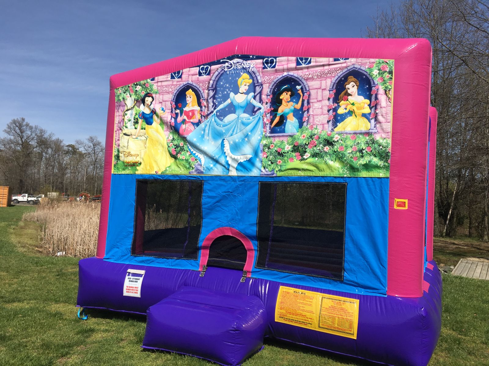 Maryland Disney Princess Moon Bounce Rentals | BackyardAmusements.com ...