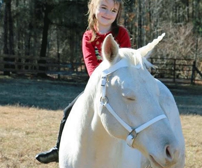 Party and Bounce House Rentals | Carolina Fun Factory