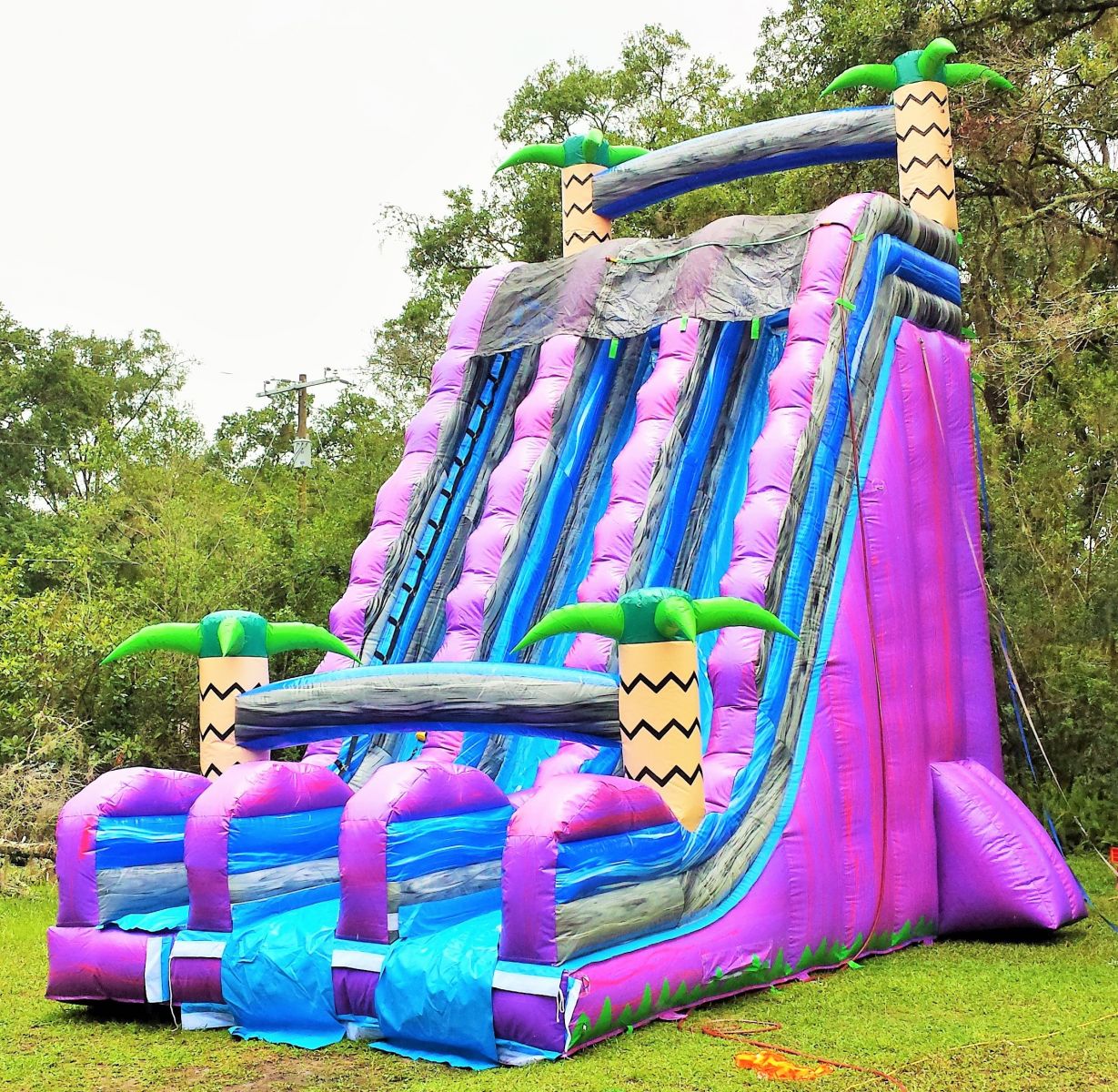 30ft Tall Purple Tropical Dry Two Lane Dry Slide Bounce House & Party ...