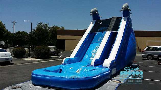 Blue Dive Dolphin Water Slide | Sharper Events & Party Rentals