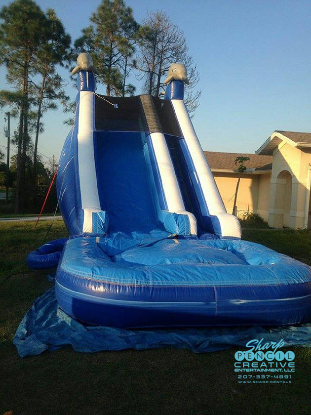 Blue Dive Dolphin Water Slide | Sharper Events & Party Rentals