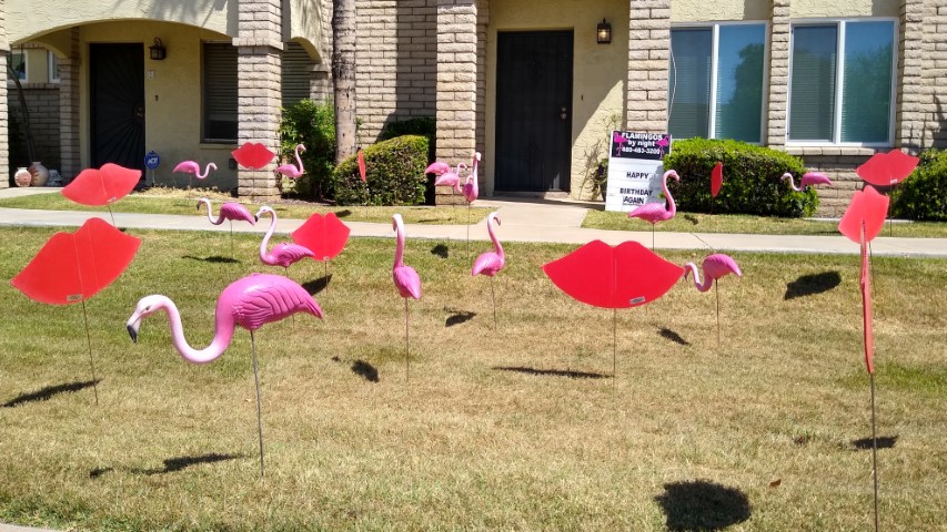 Rent flamingos for birthday, new baby or gotcha!