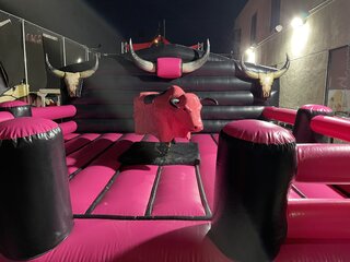 Mechanical Rides | Felipe Party Rentals | tent rentals in Huntington ...