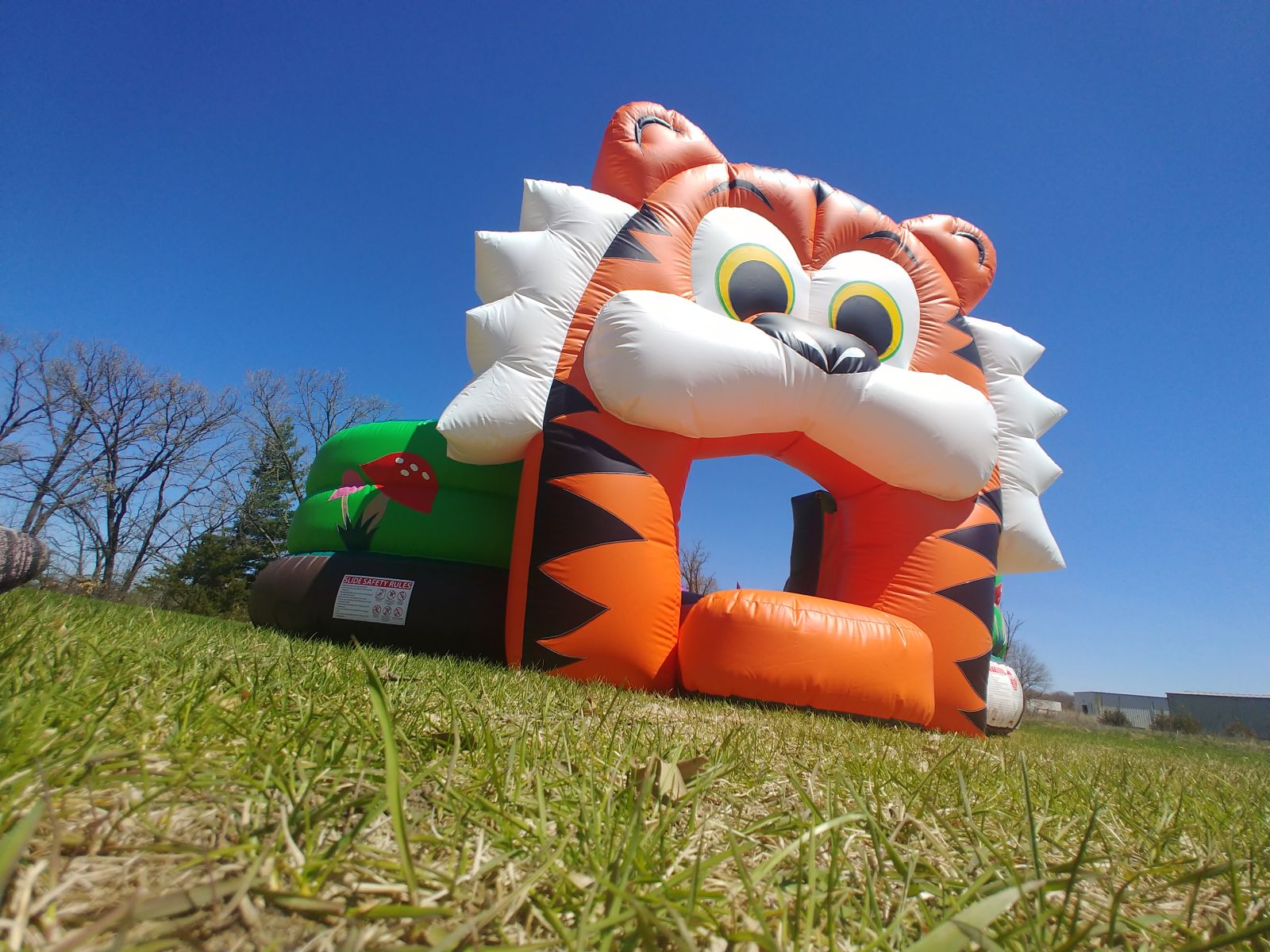 Toddler Tiger Safari Playland Rental | FroggyHops.com Minneapolis MN.