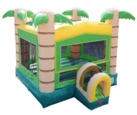 Tropical Bounce House Rental | FroggyHops.com Minneapolis MN.