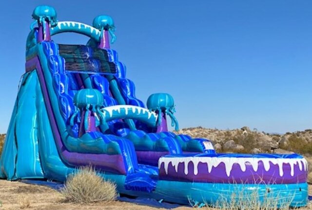 Holly's Party Jumps | 22 FT Shockwave Water Slide | Water Slide ...