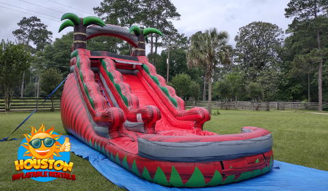 Water Slide Rental Houston | Kids and Adults | Inflatable Waterslide ...