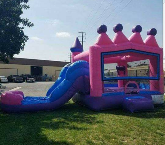 Inflatable Pink and Purple Water Slide
