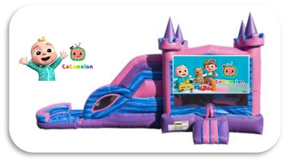 Jump-N-Fun Amusements - bounce house rentals and slides for parties in ...