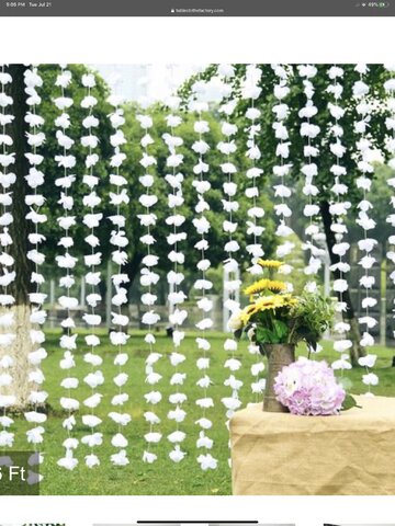 White Flower Backdrop Panel - Jumpin Wheelies