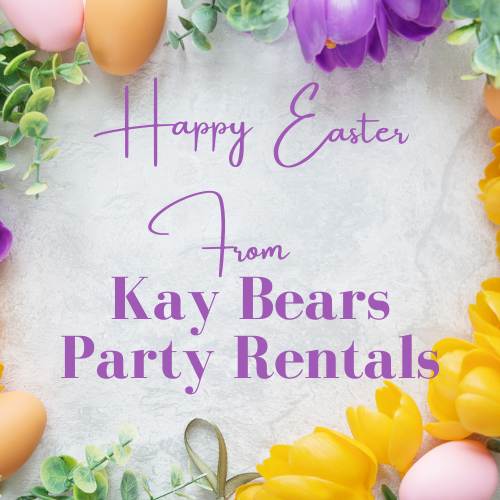 Bounce House Rentals | Kay Bear's Party Rentals | Hudson, FL