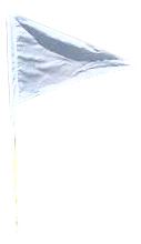 White Triangle Flag - perfect rental for grand openings, trade shows ...