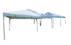 Home | Palm Tree Party Rentals