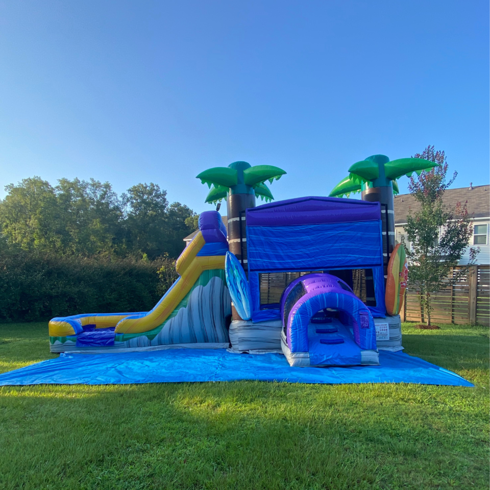 Palm Tree Party Rentals - bounce house rentals and slides for parties ...