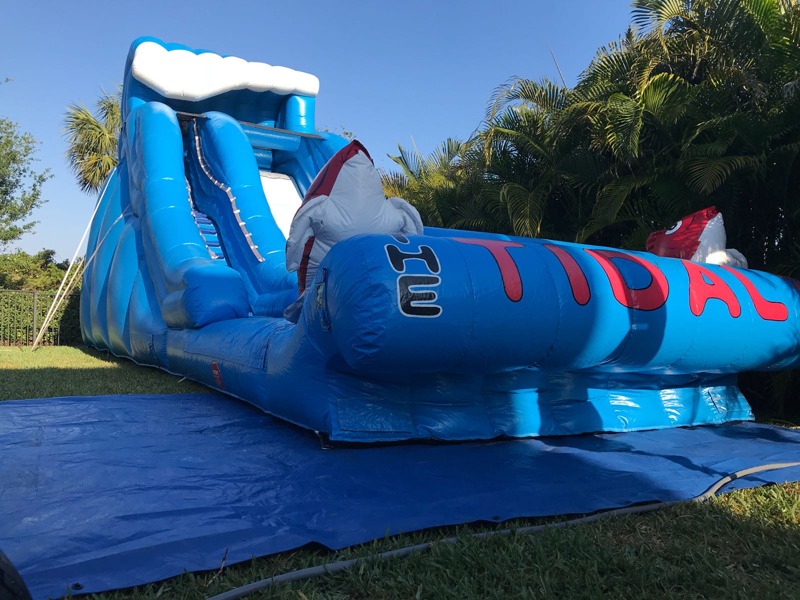 Tidal Wave Dry Slide | Premier Bounce n Slide | South Florida's Premier ...