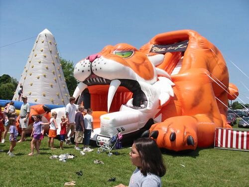 Inflatable Giant Tiger Slide rentals in the bay area and northern ...