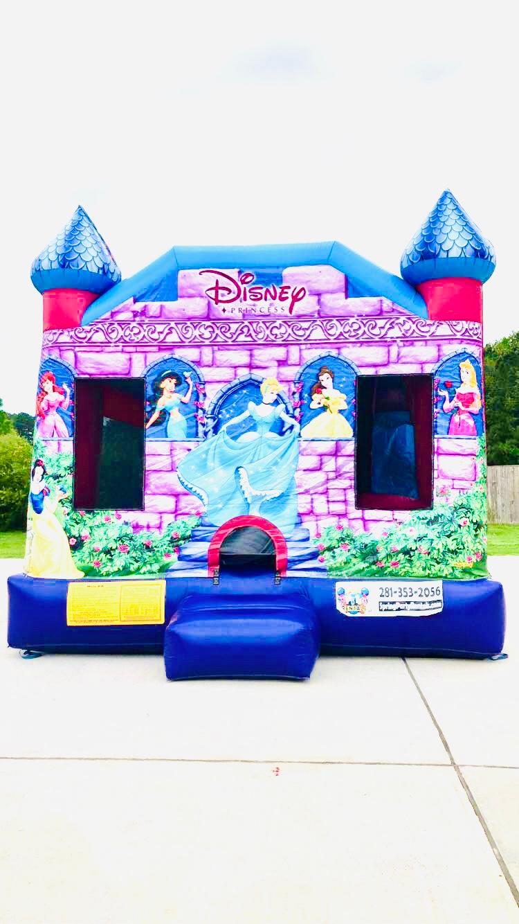 Disney Princess Combo Wet | Spring Party Rentals LLC | bounce house ...