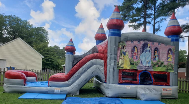 Disney Princess Titanium Double Slide Wet Combo | Virginia Beach ...