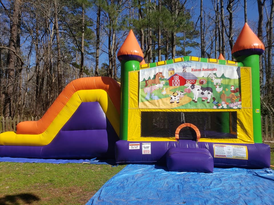 Farmyard Castle Double Slide Dry Combo | Virginia Beach Inflatables ...