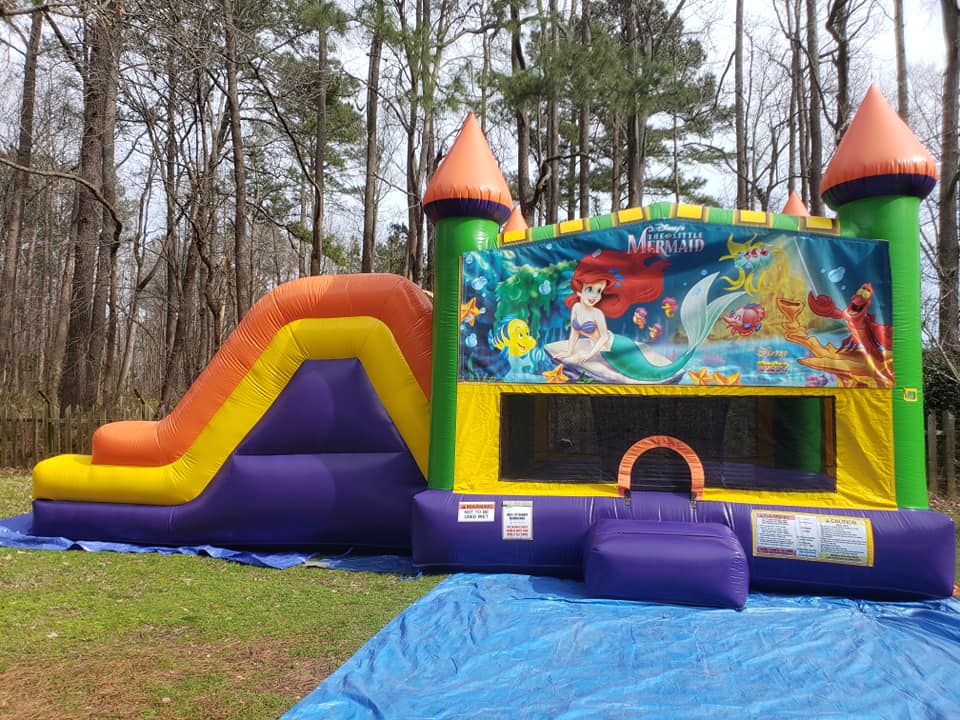 Little Mermaid Castle Double Slide Dry Combo | Virginia Beach ...