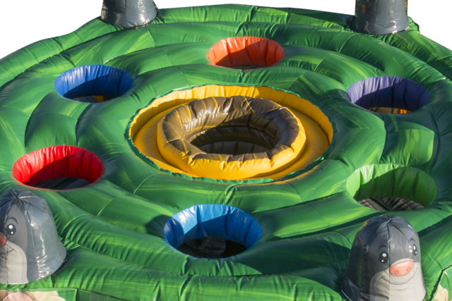 Xtreme Inflatables of La, LLC - bounce house rentals and slides for ...